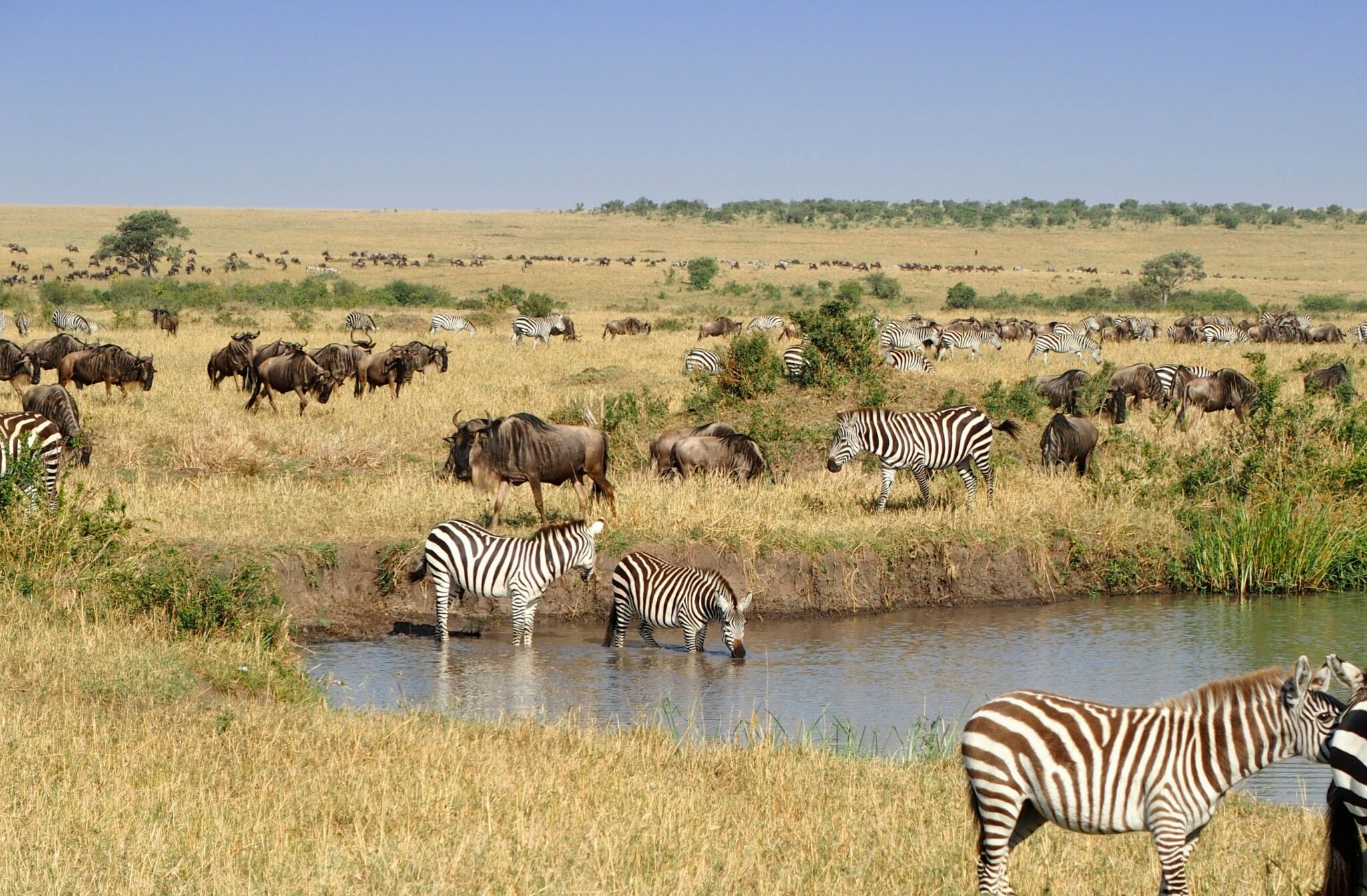 13 Places to Visit in Kenya for an Unforgettable Safari - Kenia Tours ...